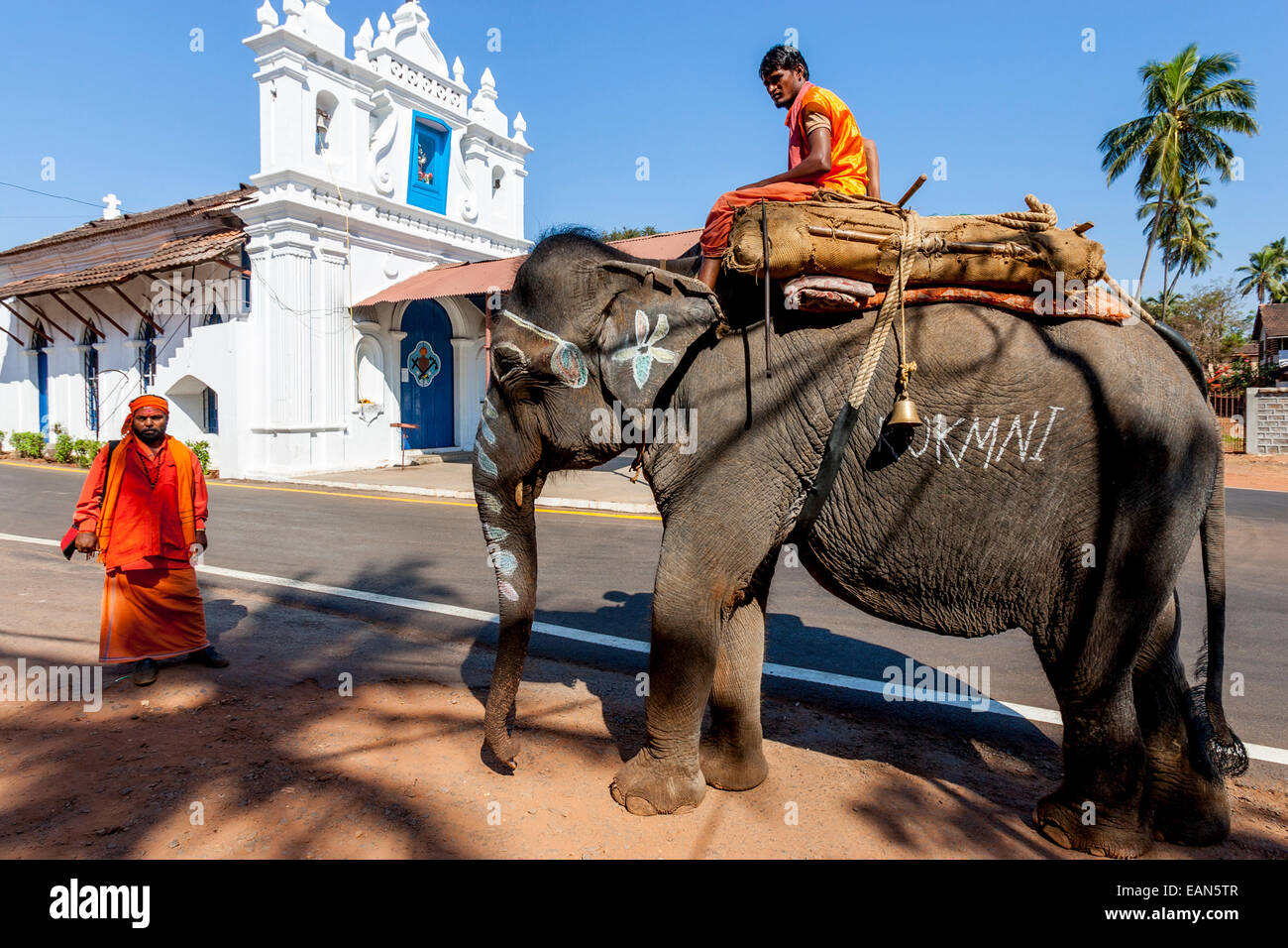 Goa india elephant hi-res stock photography and images - Alamy