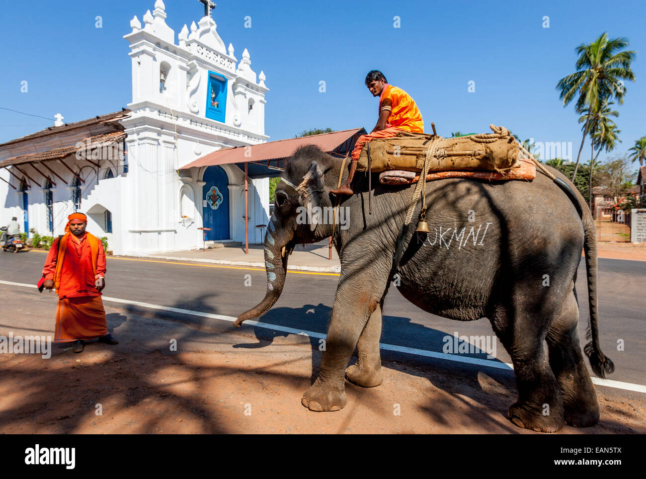 Man Riding An Elephant, Calangute, Goa, India Stock Photo - Alamy