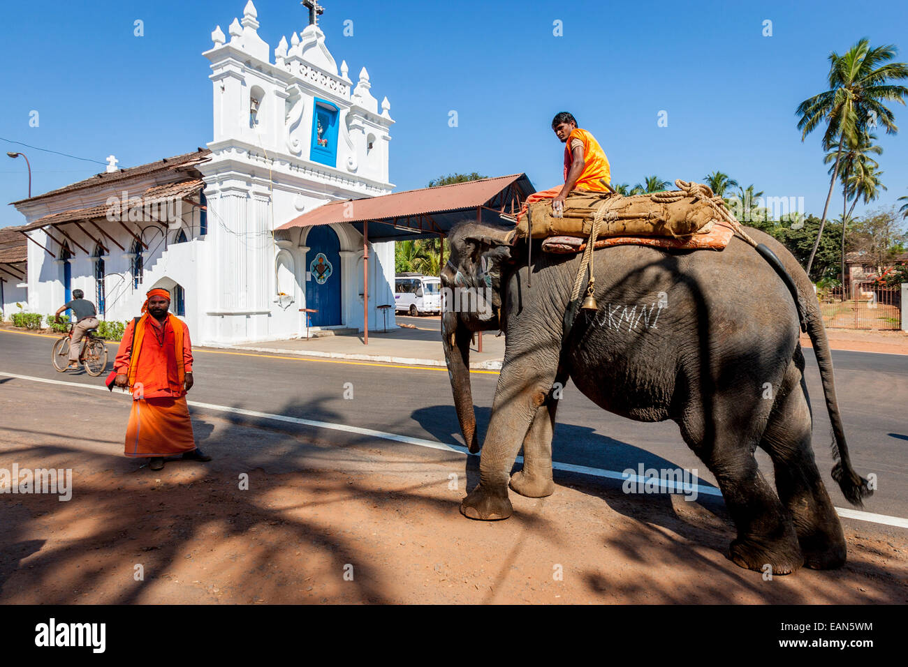 Man Riding An Elephant, Calangute, Goa, India Stock Photo - Alamy