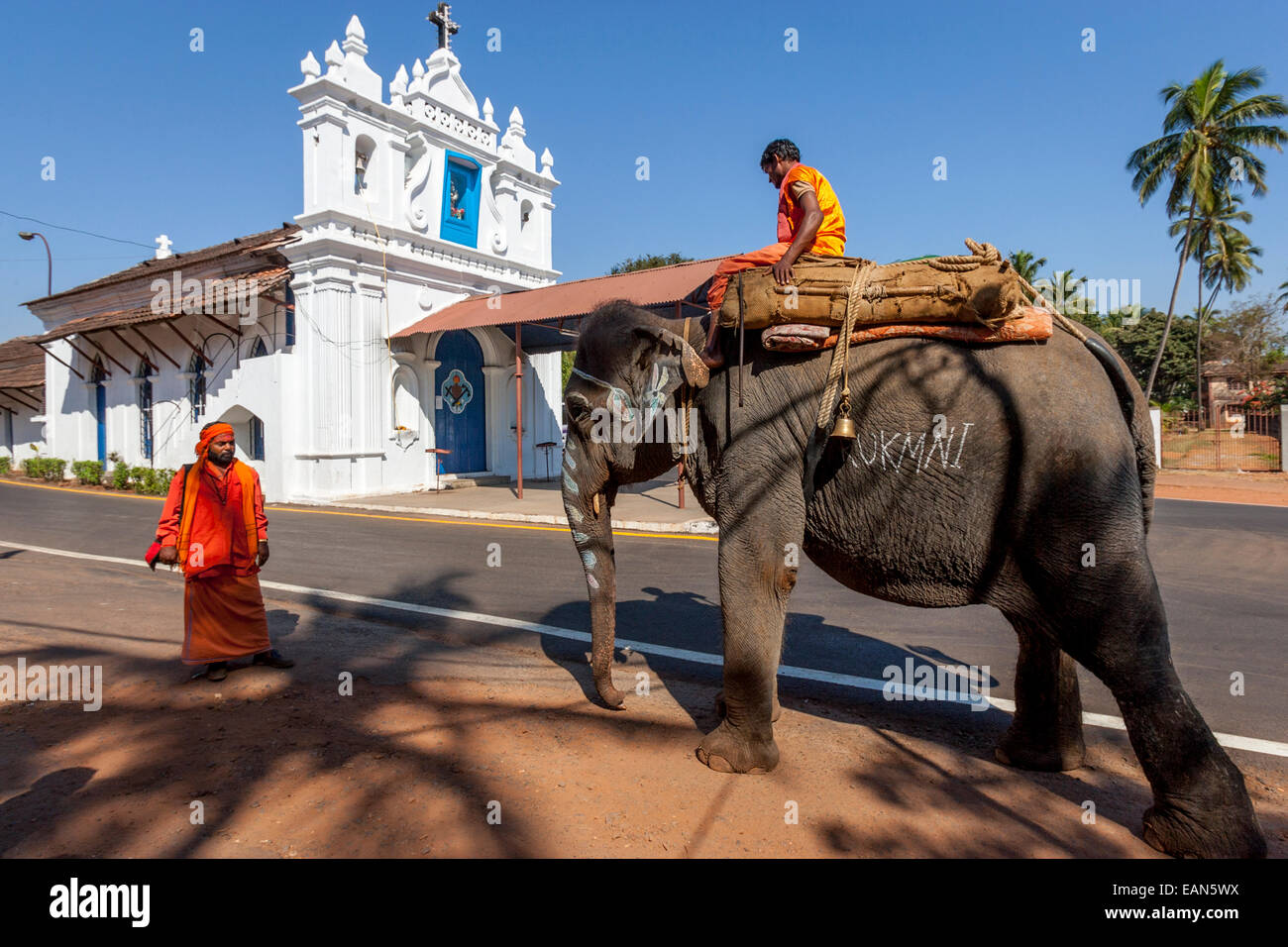 Man Riding An Elephant, Calangute, Goa, India Stock Photo - Alamy
