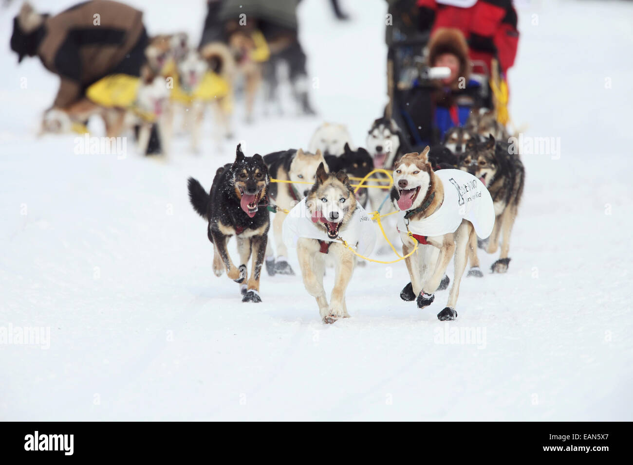 University of alaska anchorage hi-res stock photography and images - Alamy