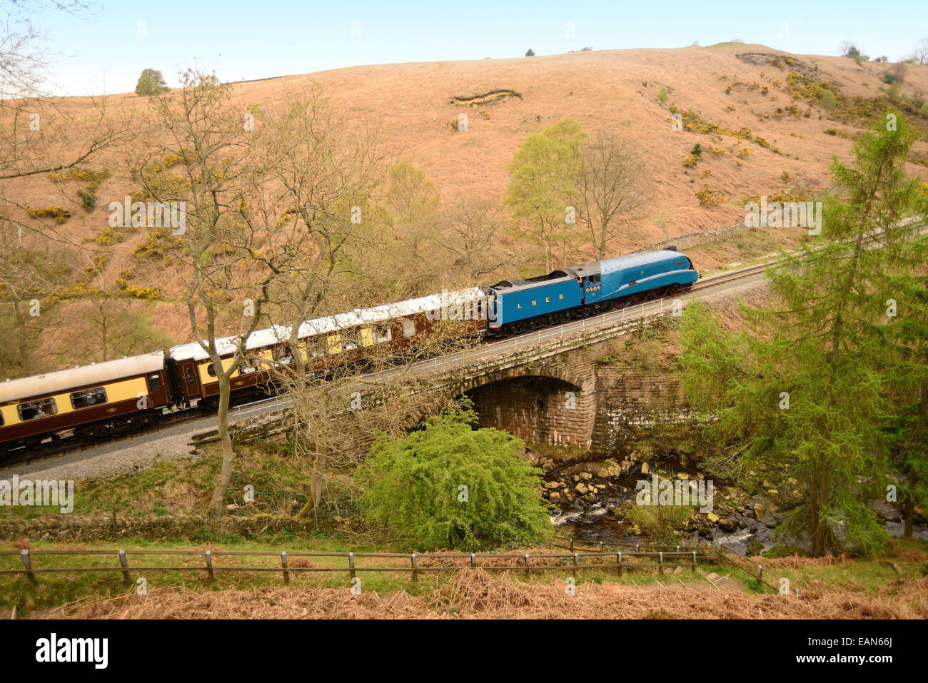 Class A4 Pacific No 4464 Bittern hauling the pullman dining train over ...