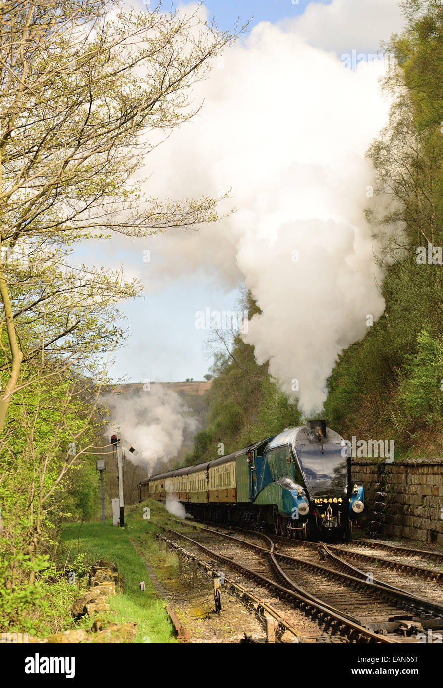 Class A4 Pacific No 4464 Bittern arriving at Goathland station on the ...