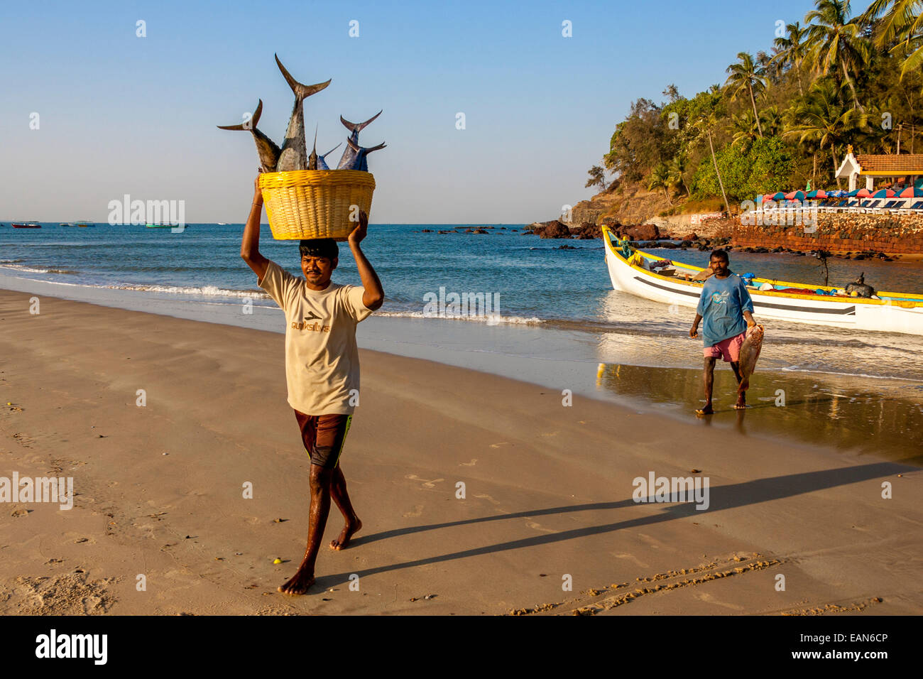 Fishermen Unloading The Day's Catch, Baga Beach, Goa, India Stock Photo ...