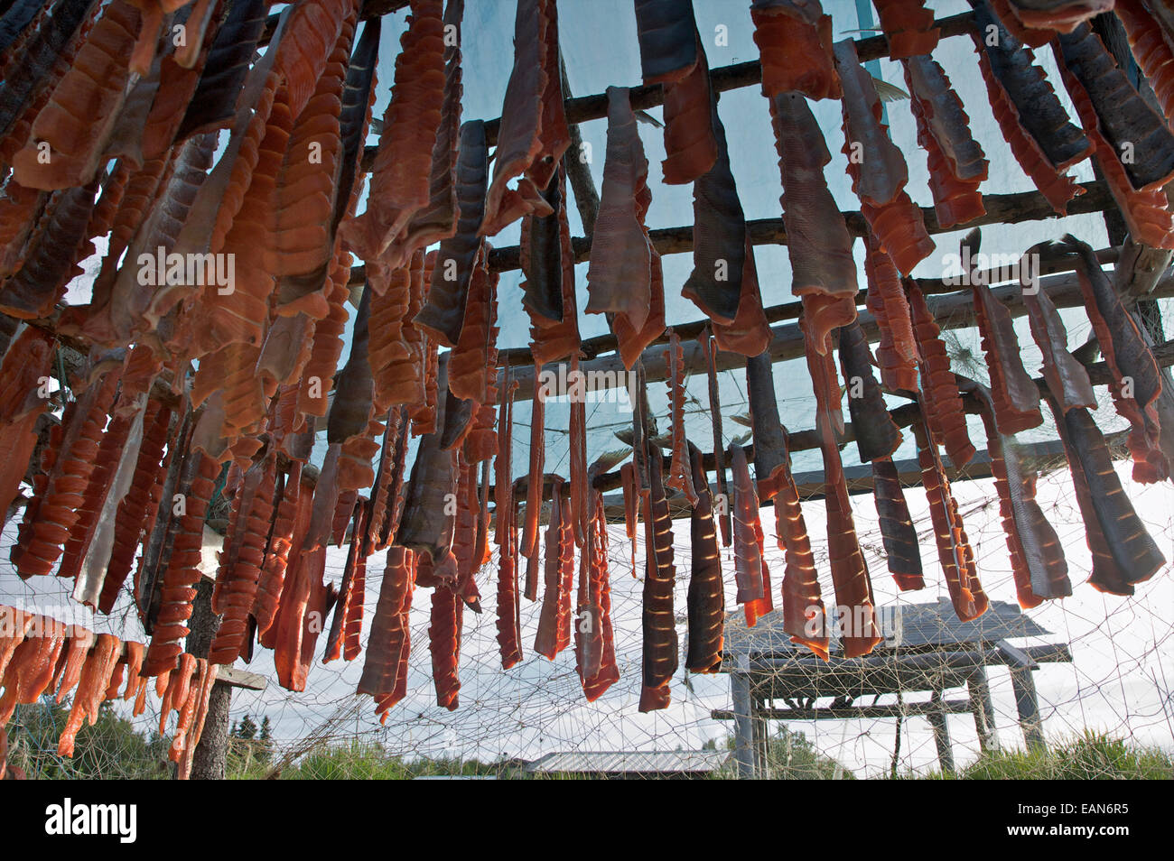 Alaska fish drying racks hi-res stock photography and images - Alamy