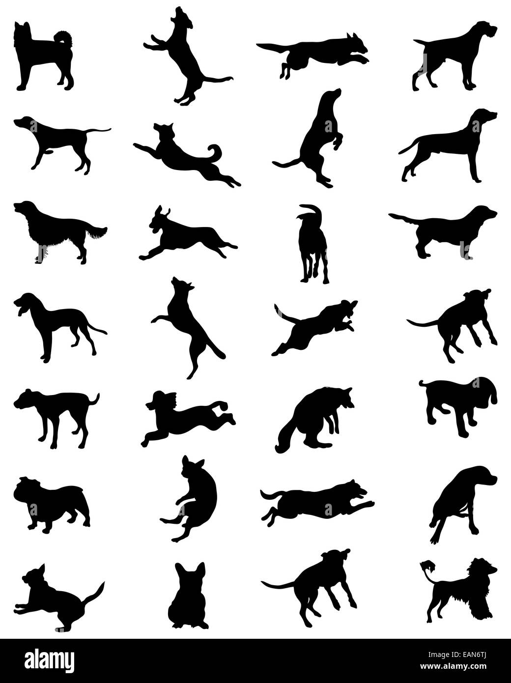 Dog breeds Black and White Stock Photos & Images - Alamy