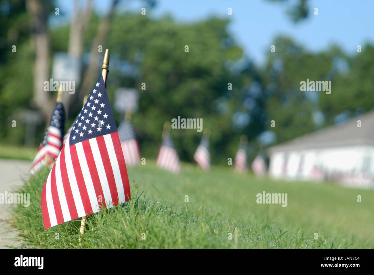 American Flags are placed in a row in celebration of the upcoming ...
