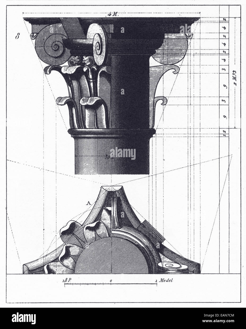 Engraving: Ionic Column Stock Photo - Alamy