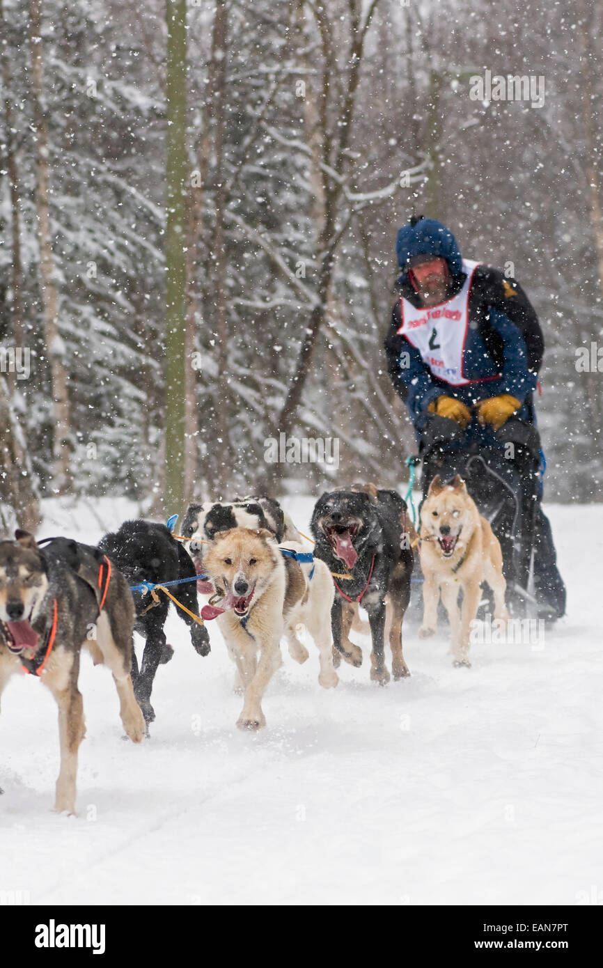 Chester creek trail anchorage hi-res stock photography and images - Alamy