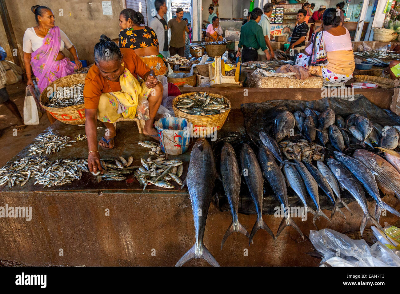 Fish Market, Calangute, Goa, India Stock Photo - Alamy