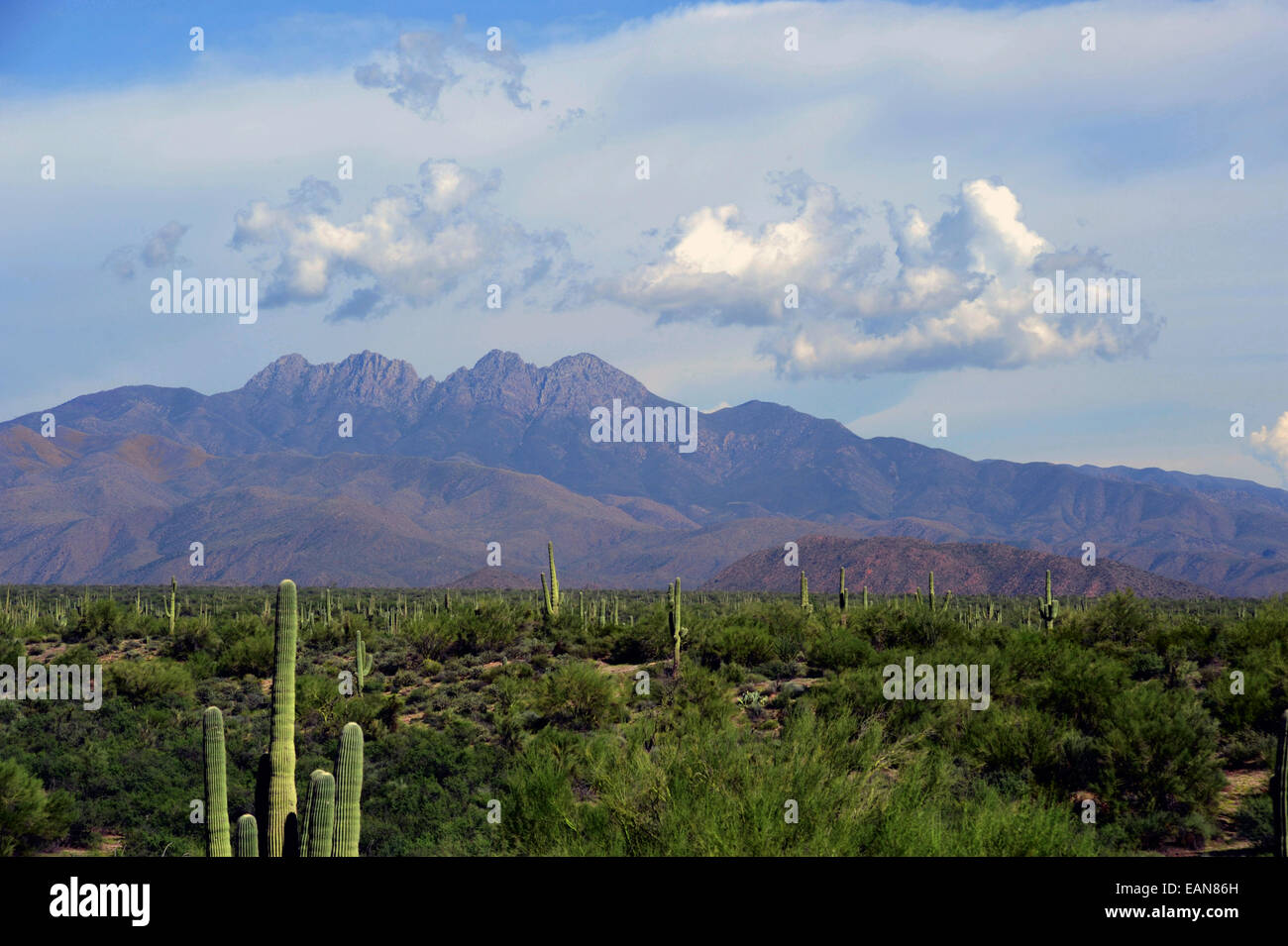 Fall in the Arizona Desert Stock Photo - Alamy