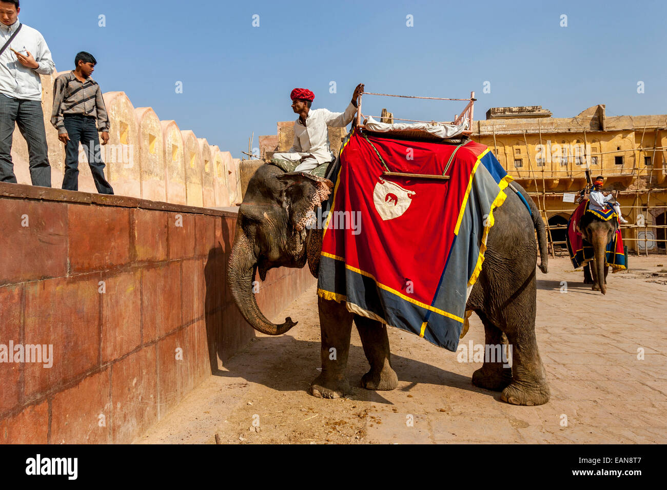 Elephant Ride At The Amer Palace, Jaipur, Rajasthan, India Stock Photo ...