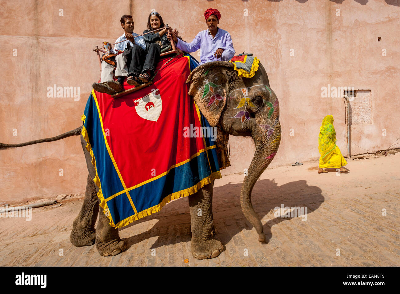 Elephant Ride At The Amer Palace, Jaipur, Rajasthan, India Stock Photo ...