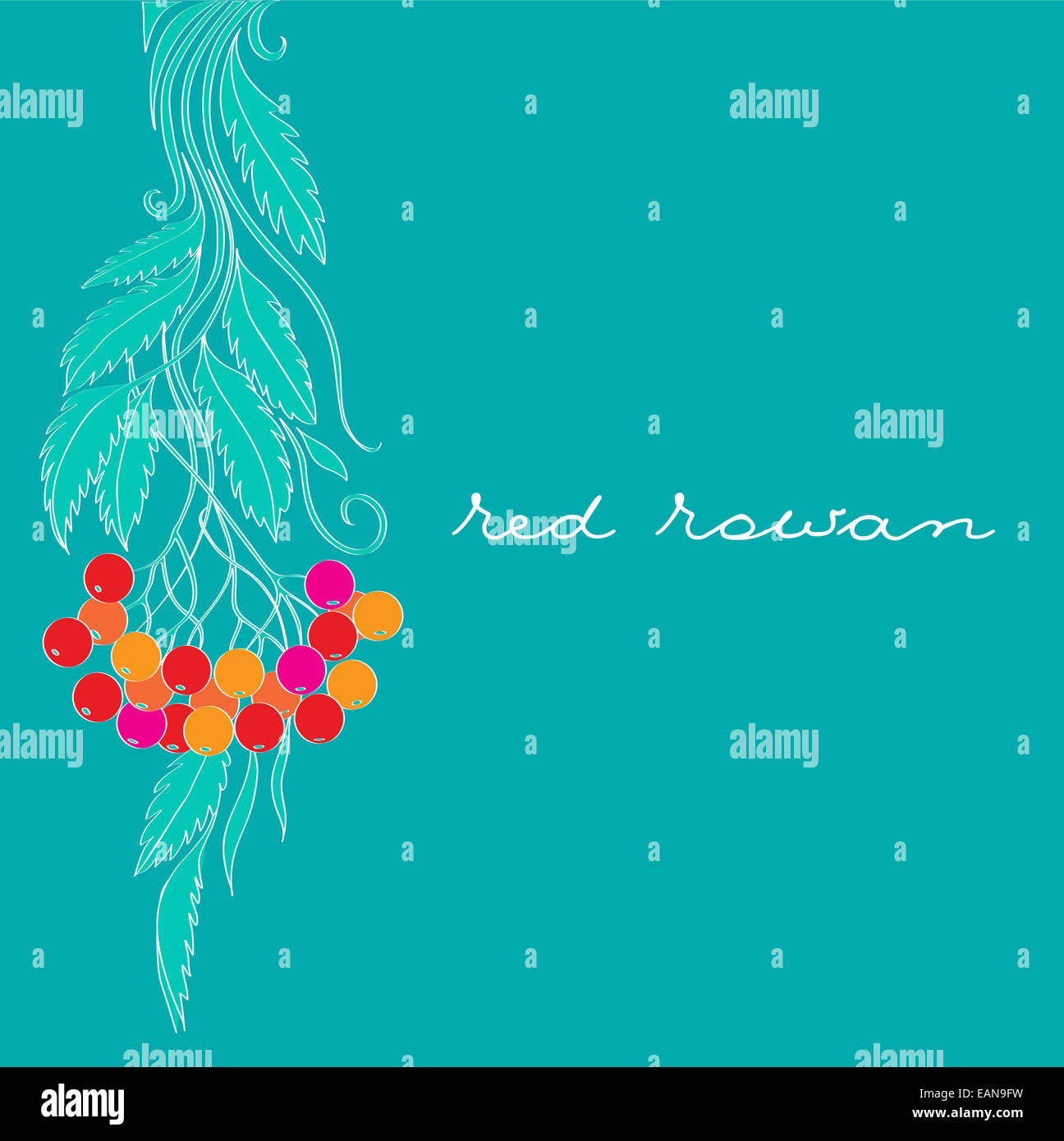 Rowan illustration hi-res stock photography and images - Alamy