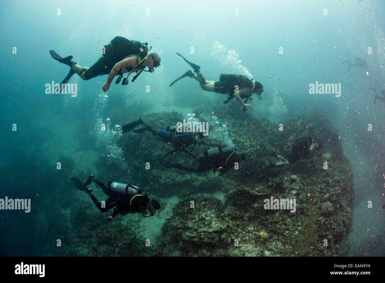 US Navy divers dive alongside Belize Coast Guard Service divers during ...