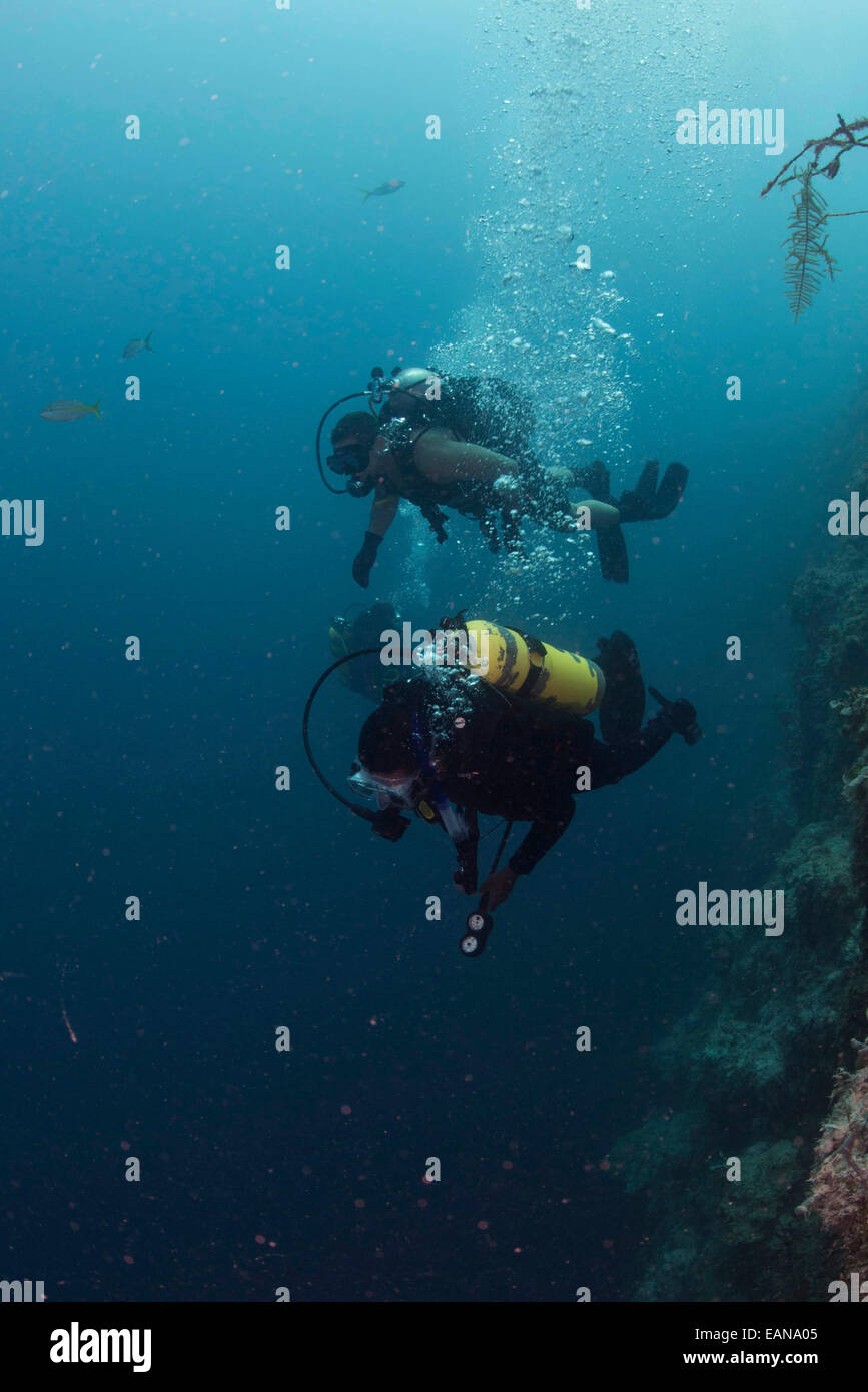 US Navy divers dive alongside Belize Coast Guard Service divers during ...