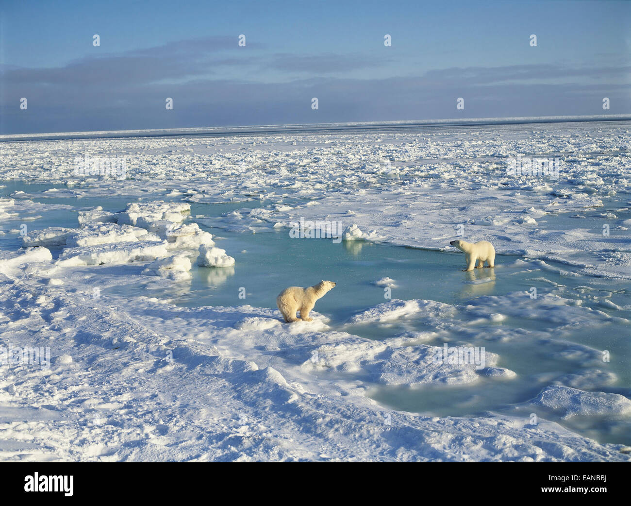 Churchill manitoba fall hi-res stock photography and images - Alamy