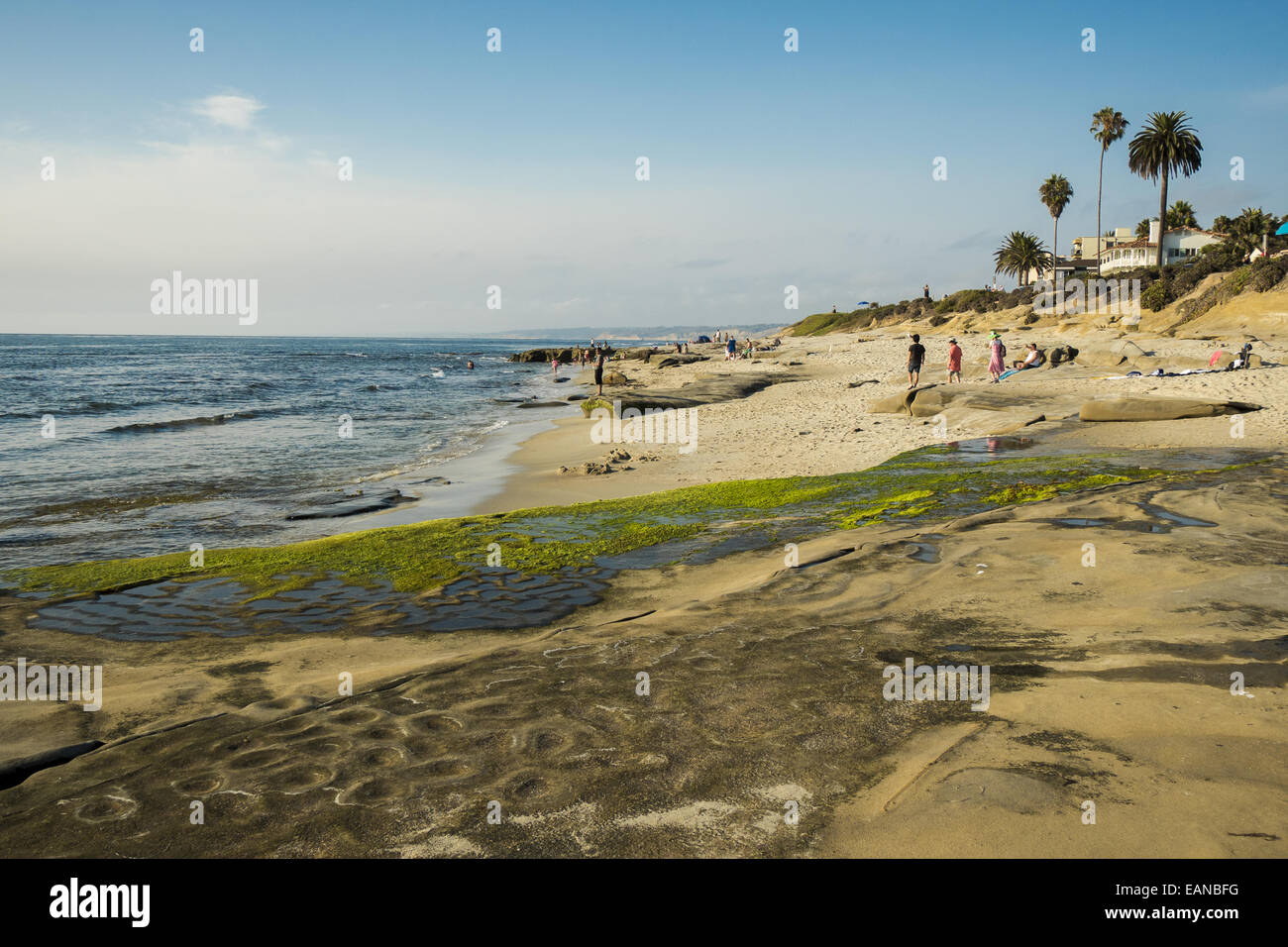 La jolla beach hi-res stock photography and images - Alamy