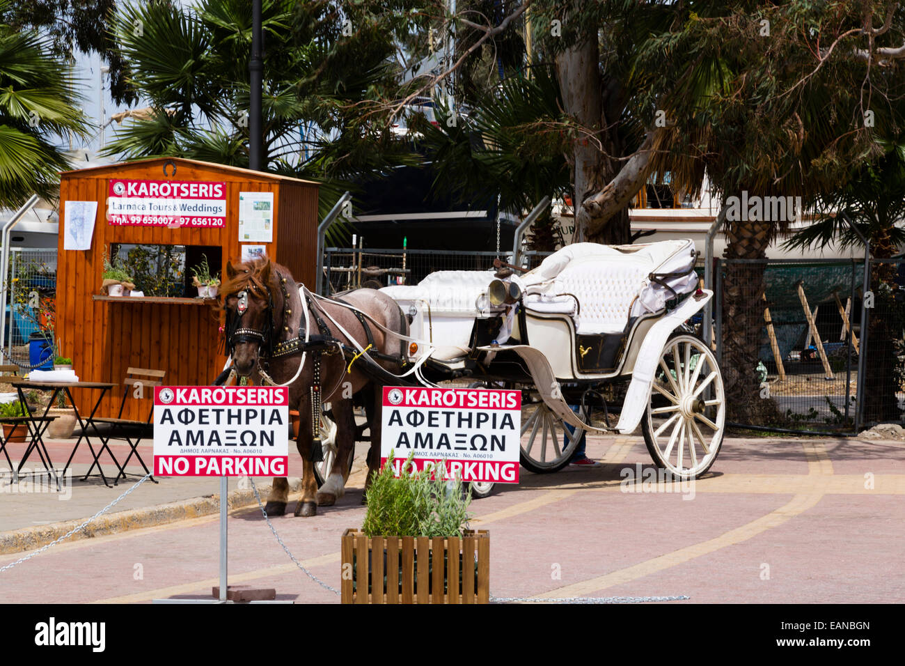 Horse and carriage rides, Finikoudas, Larnaca, Cyprus Stock Photo - Alamy