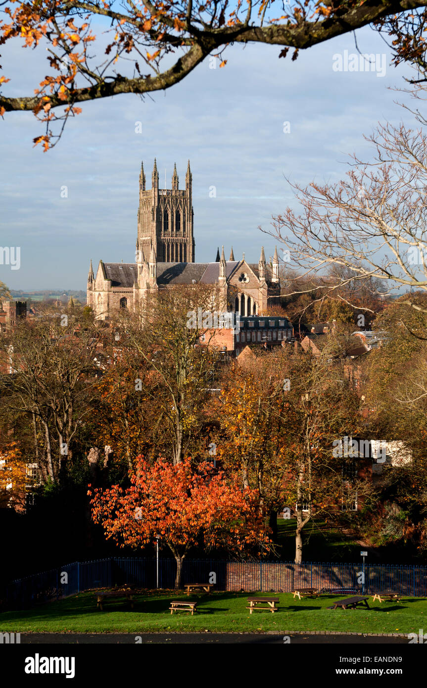 Worcester Cathedral from Fort Royal Park in autumn, Worcestershire, UK ...