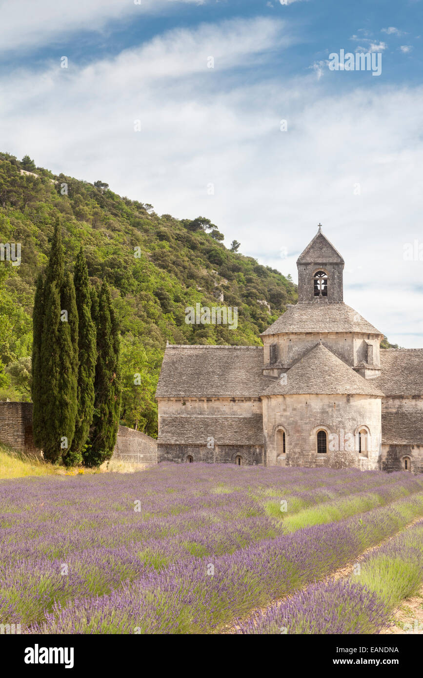 Abbaye notre dame de senanque hi-res stock photography and images - Alamy