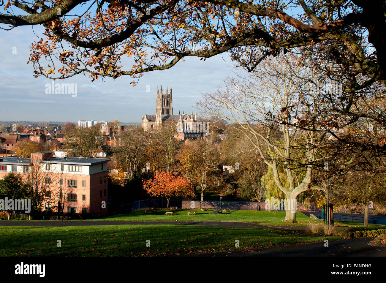 Worcester Cathedral from Fort Royal Park in autumn, Worcestershire, UK ...