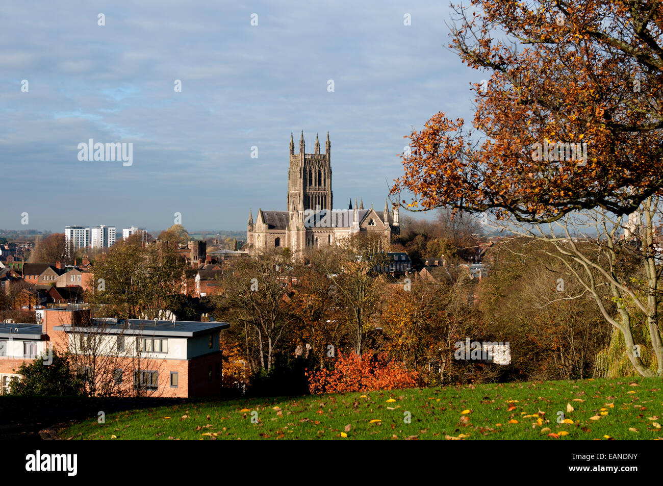 Worcester Cathedral from Fort Royal Park in autumn, Worcestershire, UK ...