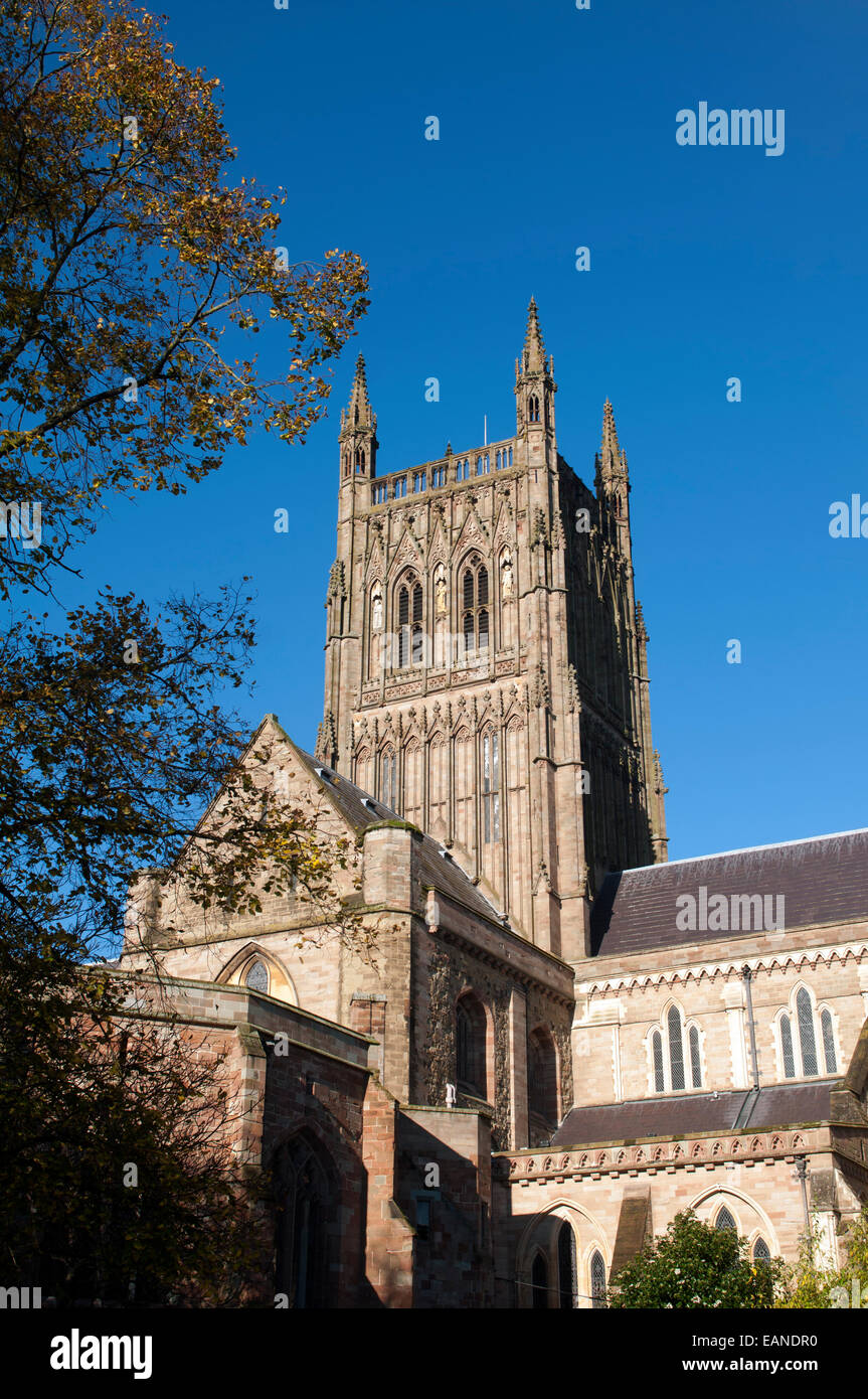 Worcester Cathedral in autumn, Worcestershire, UK Stock Photo - Alamy
