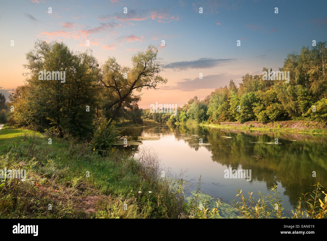Pink sunset over river in the forest Stock Photo - Alamy