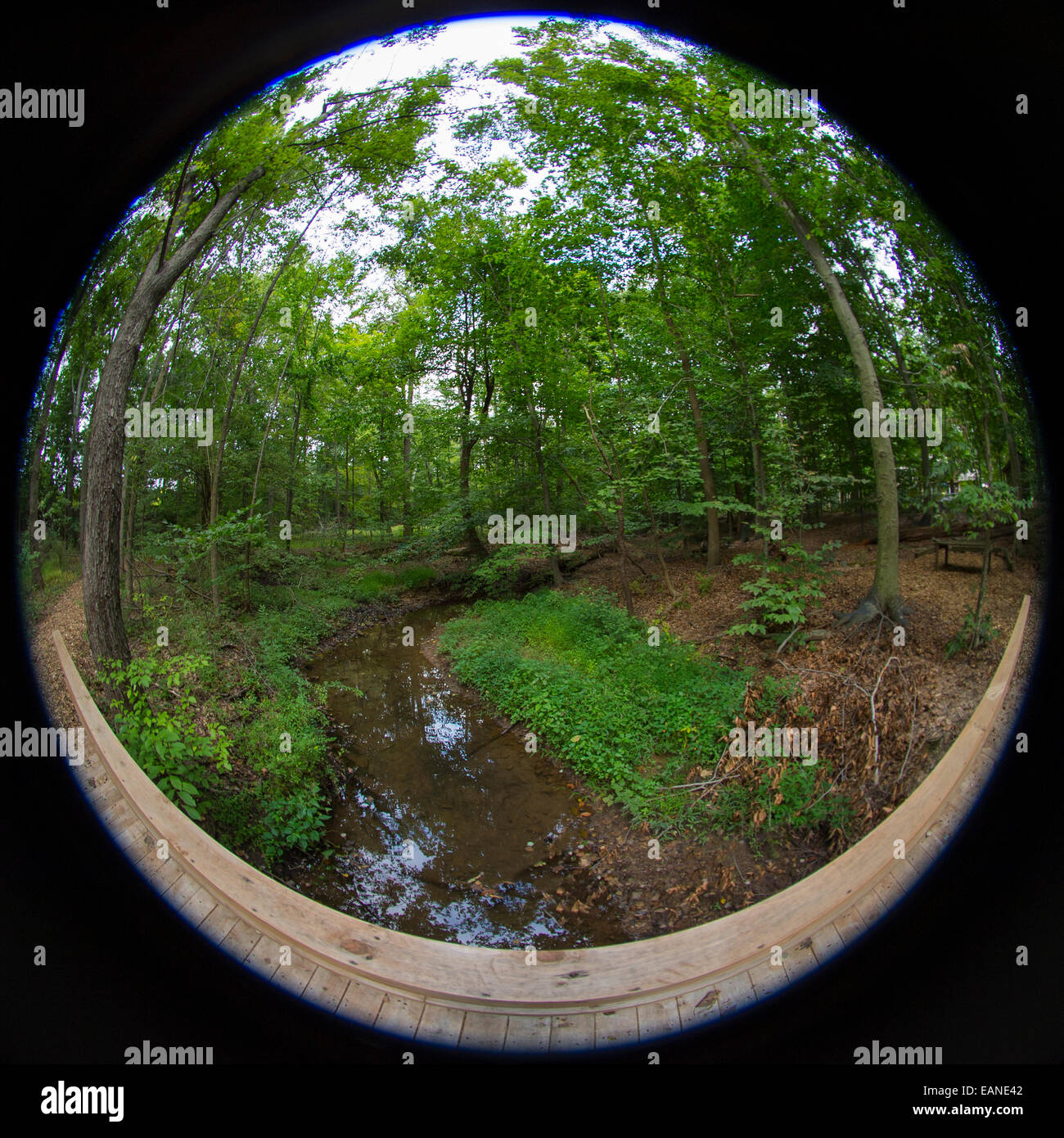 Beautiful path through golden hi-res stock photography and images - Alamy