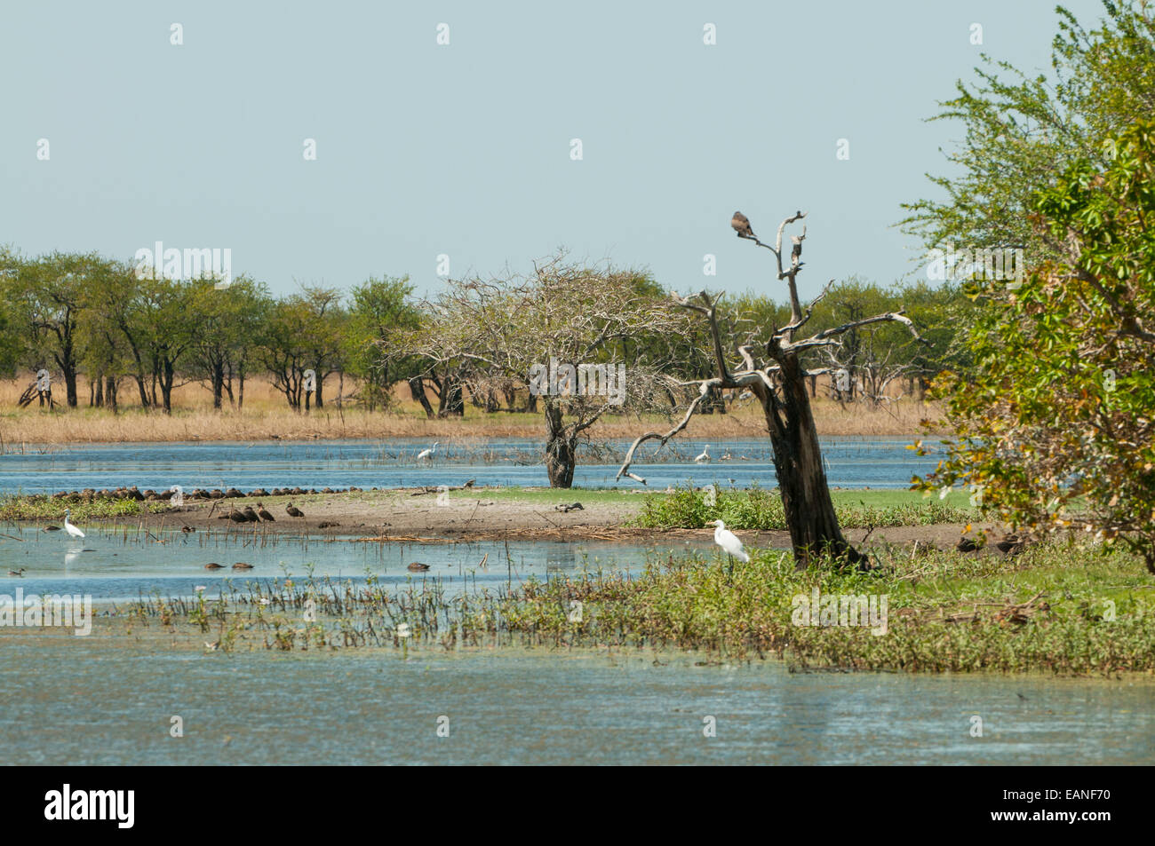 Marlgu Billabong near Wyndham, WA, Australia Stock Photo - Alamy