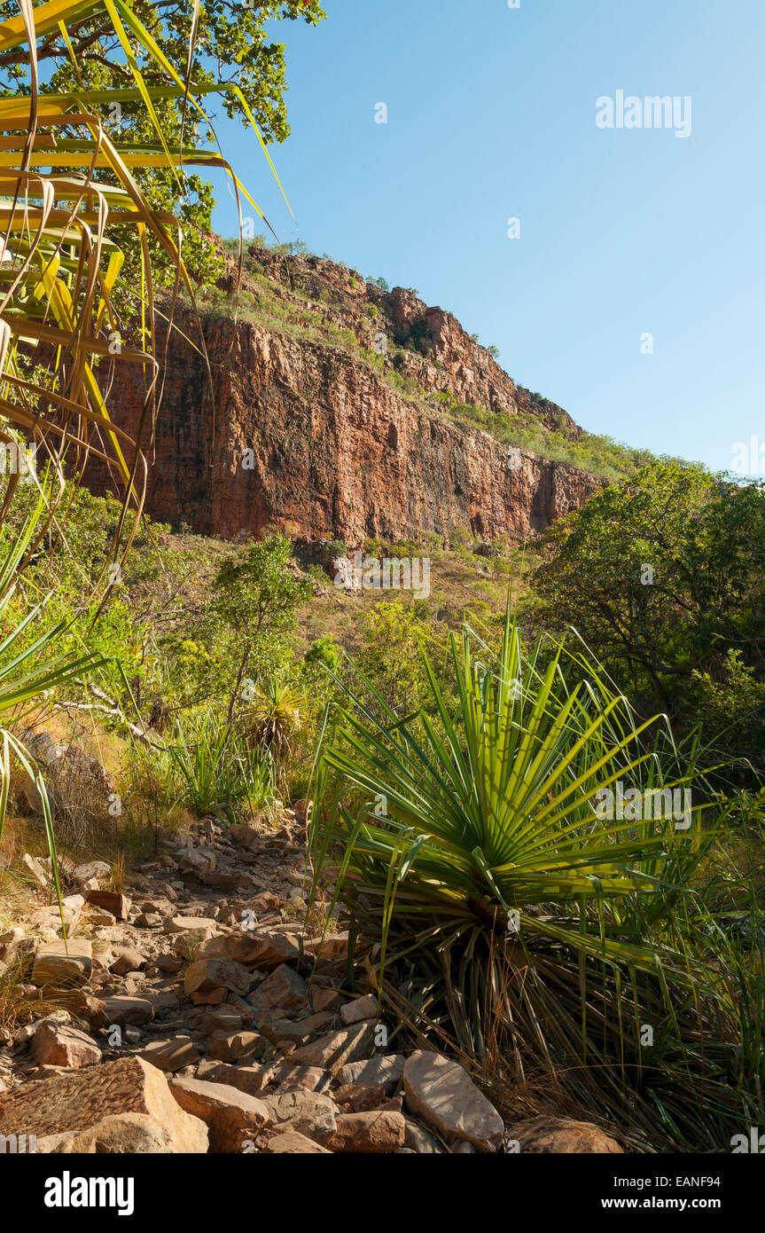 Path in Emma Gorge, El Questro, WA, Australia Stock Photo - Alamy