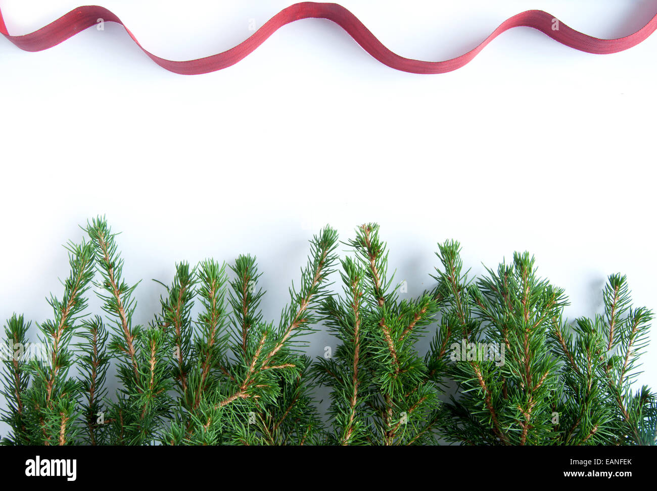 Tree border hi-res stock photography and images - Alamy