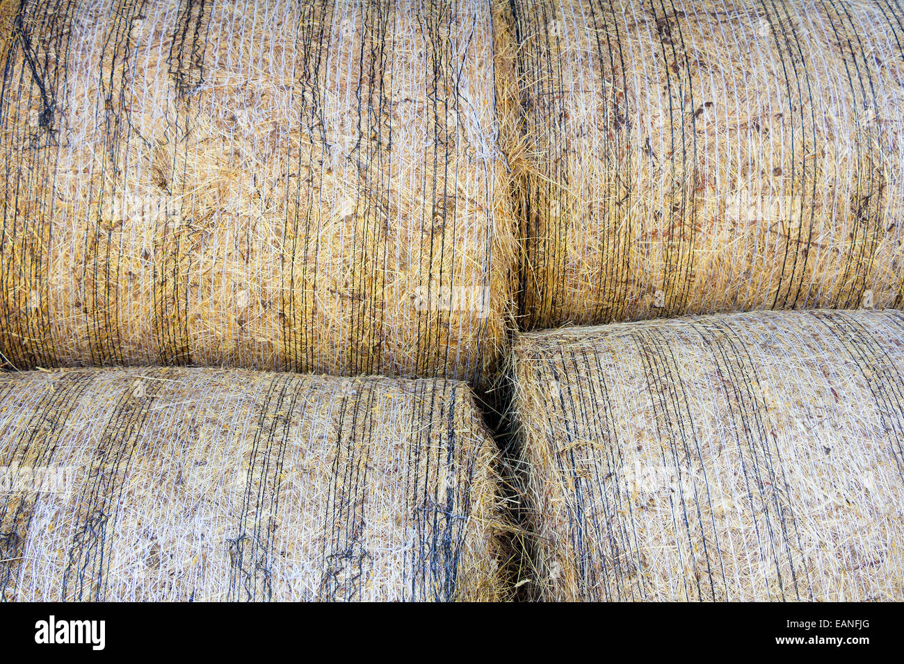 Closeup a detail of dry hay bales Stock Photo - Alamy