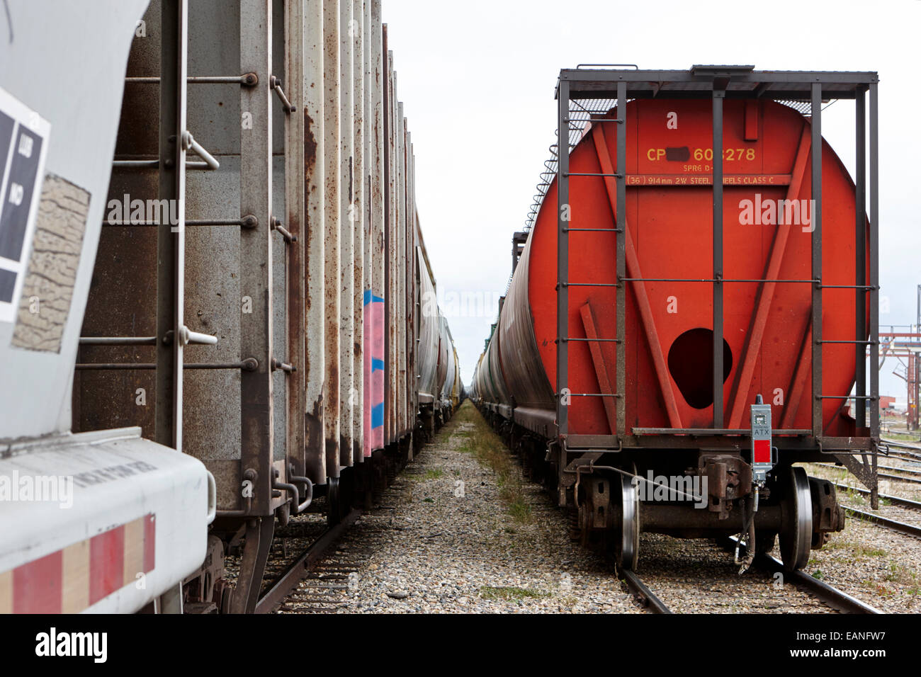 bulk grain transport railroad cars in rail yard assiniboia Saskatchewan ...