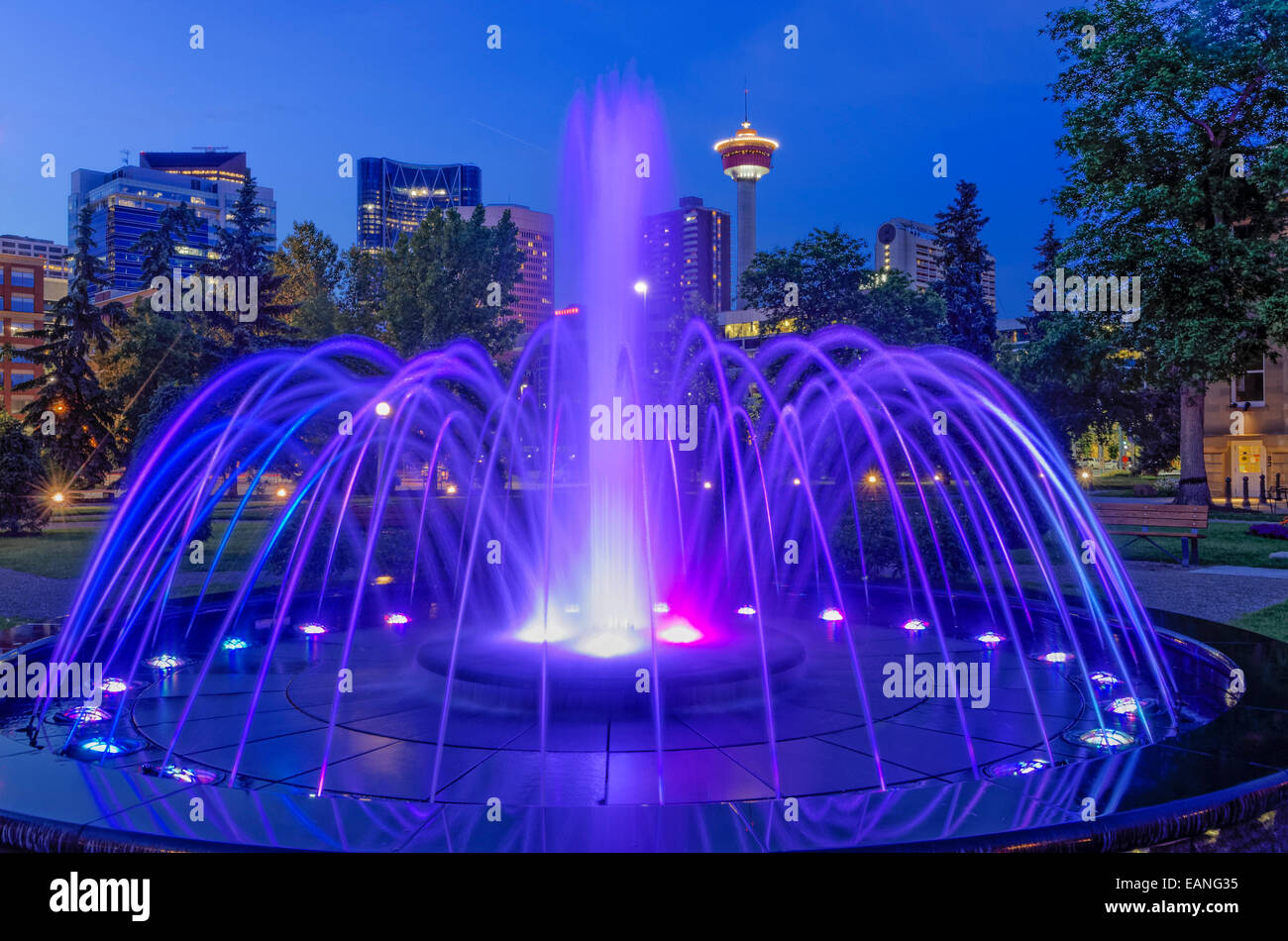 Illuminated fountain with the Calgary Tower in the distance, Central ...