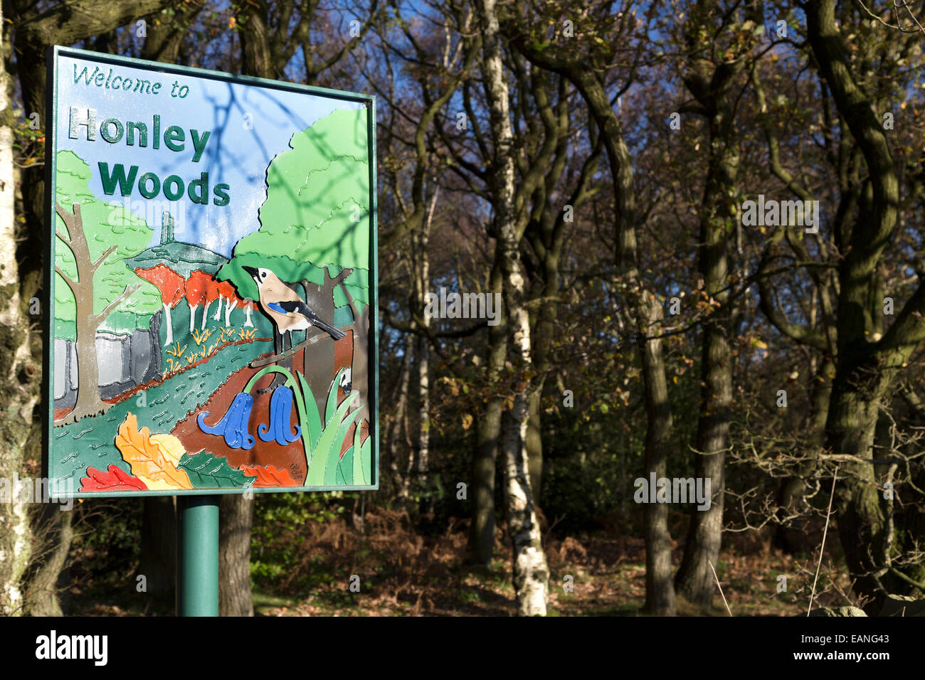 Honley woods hi-res stock photography and images - Alamy