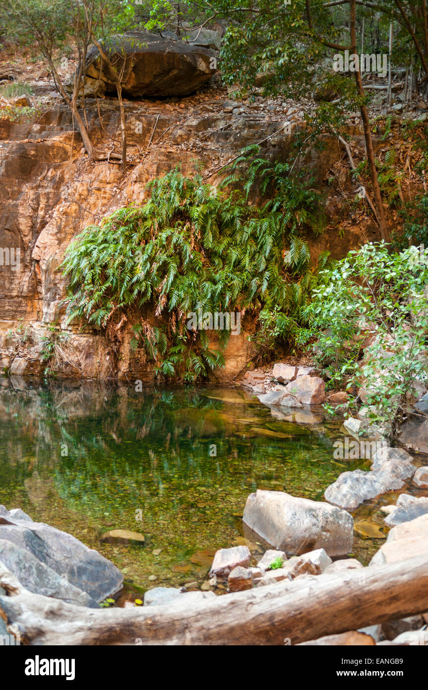 Rock Pool in Emma Gorge, El Questro, WA, Australia Stock Photo - Alamy