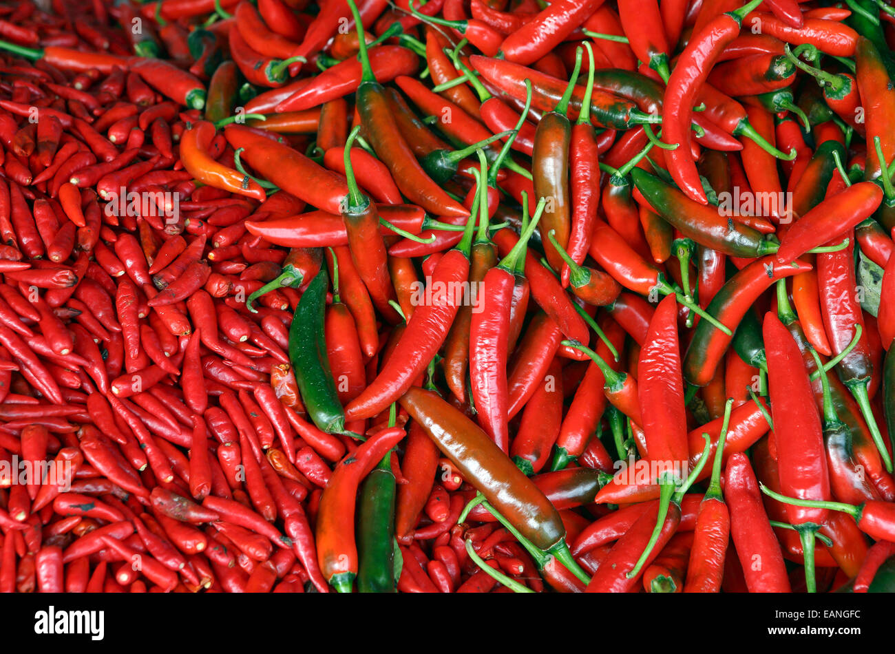 Fresh peppers for sale hi-res stock photography and images - Alamy