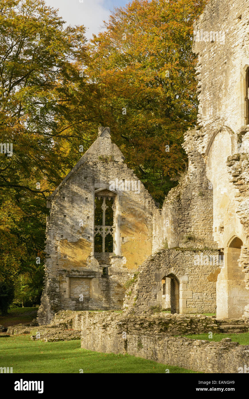Ruins of Minster Lovell Hall Oxfordshire England UK Stock Photo - Alamy