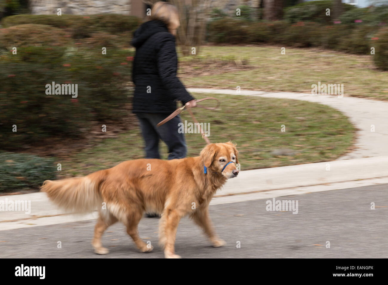 Woman muzzled hi-res stock photography and images - Alamy