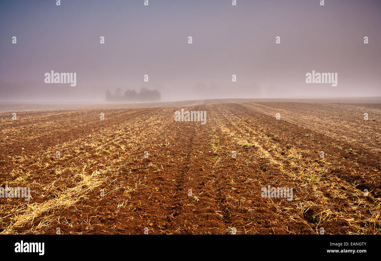 Sunrise over plowed autumnal field Stock Photo - Alamy