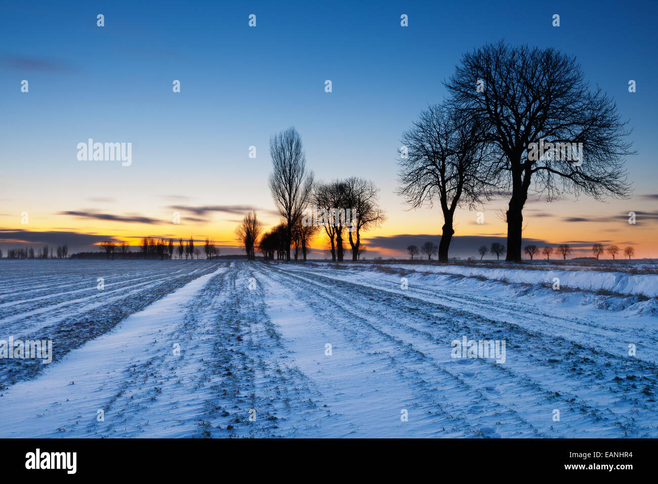 Winter field at sunset landscape Stock Photo - Alamy