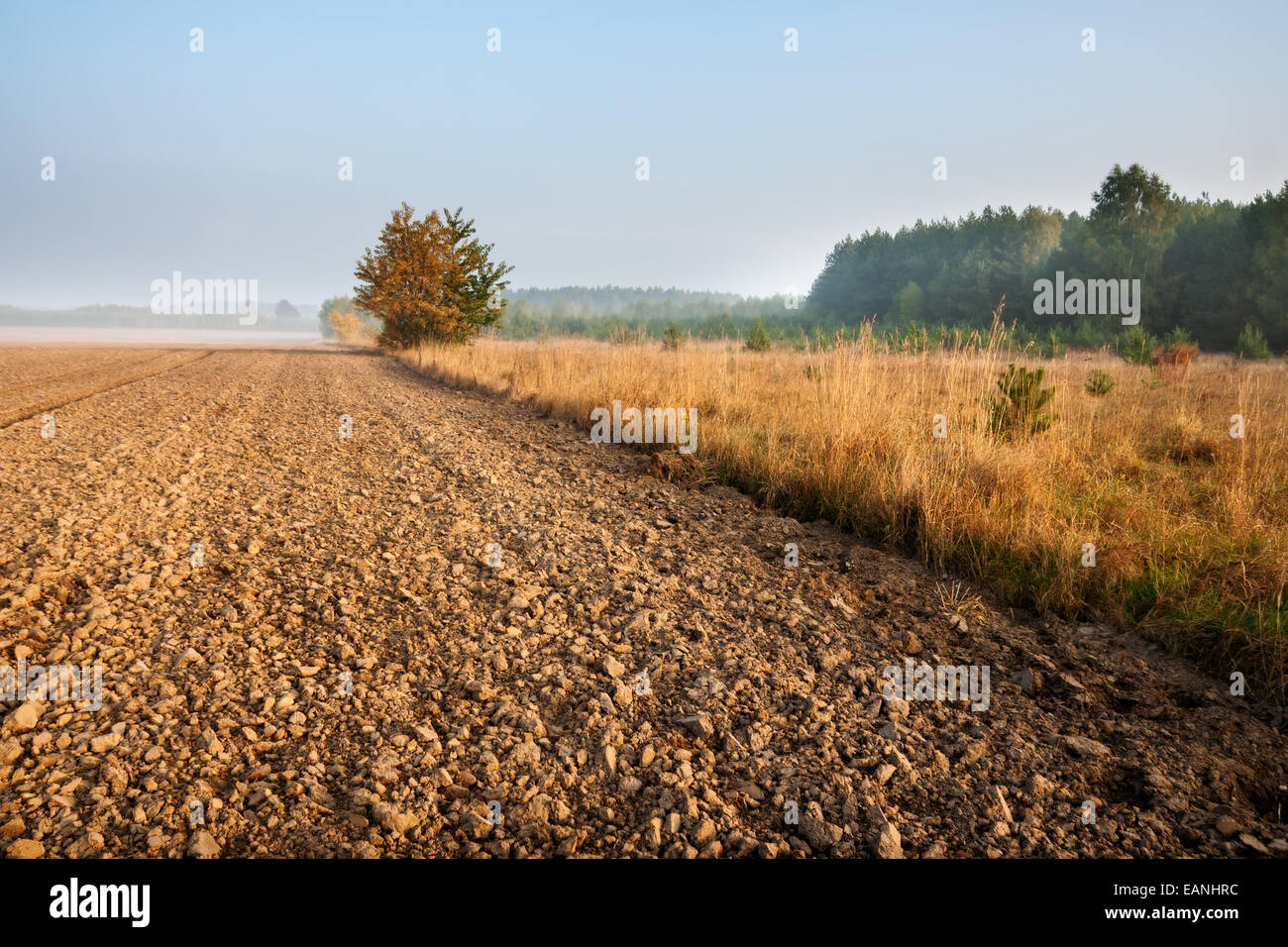 Gold all over the ground hi-res stock photography and images - Alamy