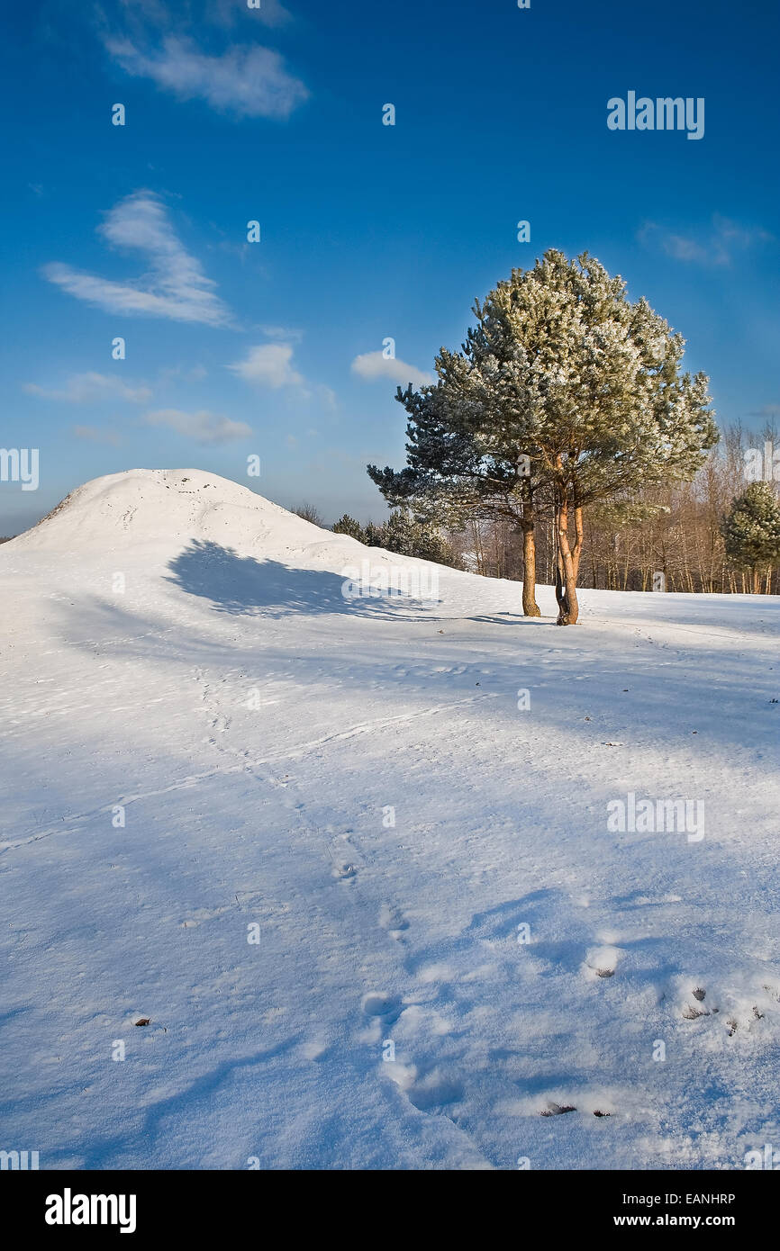 Winter field at sunset landscape Stock Photo - Alamy