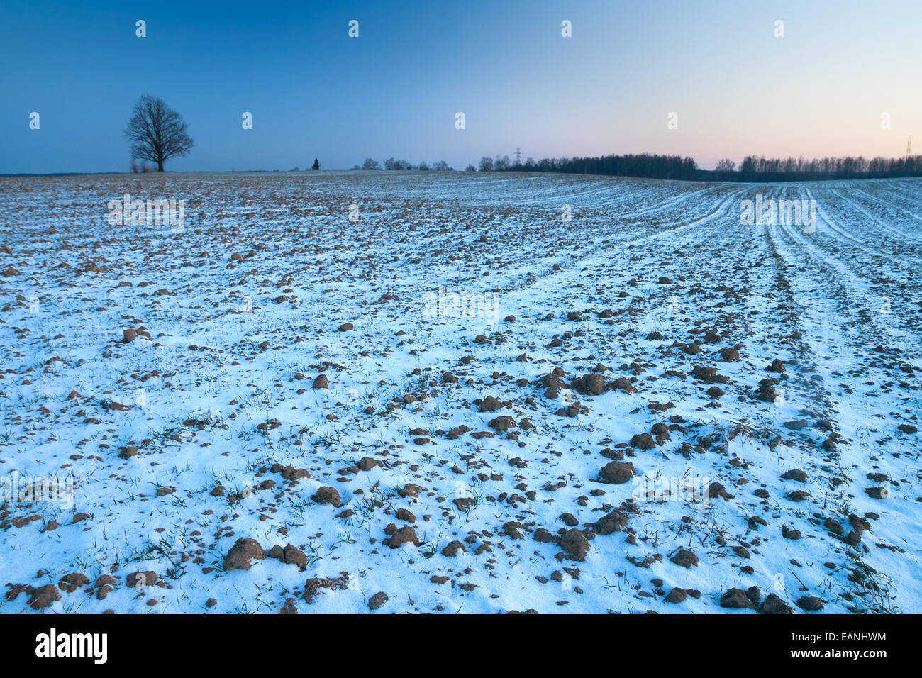 Winter field at sunset landscape Stock Photo - Alamy