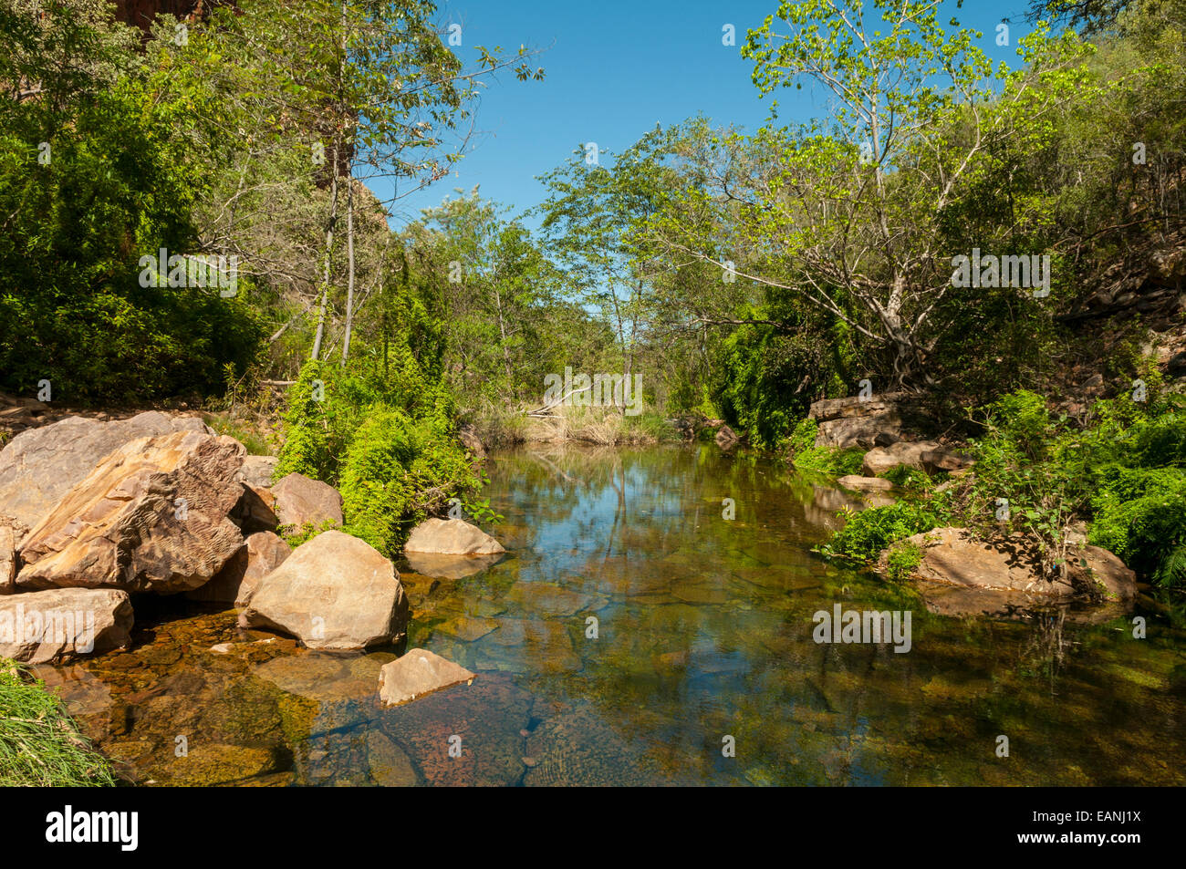 Rock Pool in Emma Gorge, El Questro, WA, Australia Stock Photo - Alamy