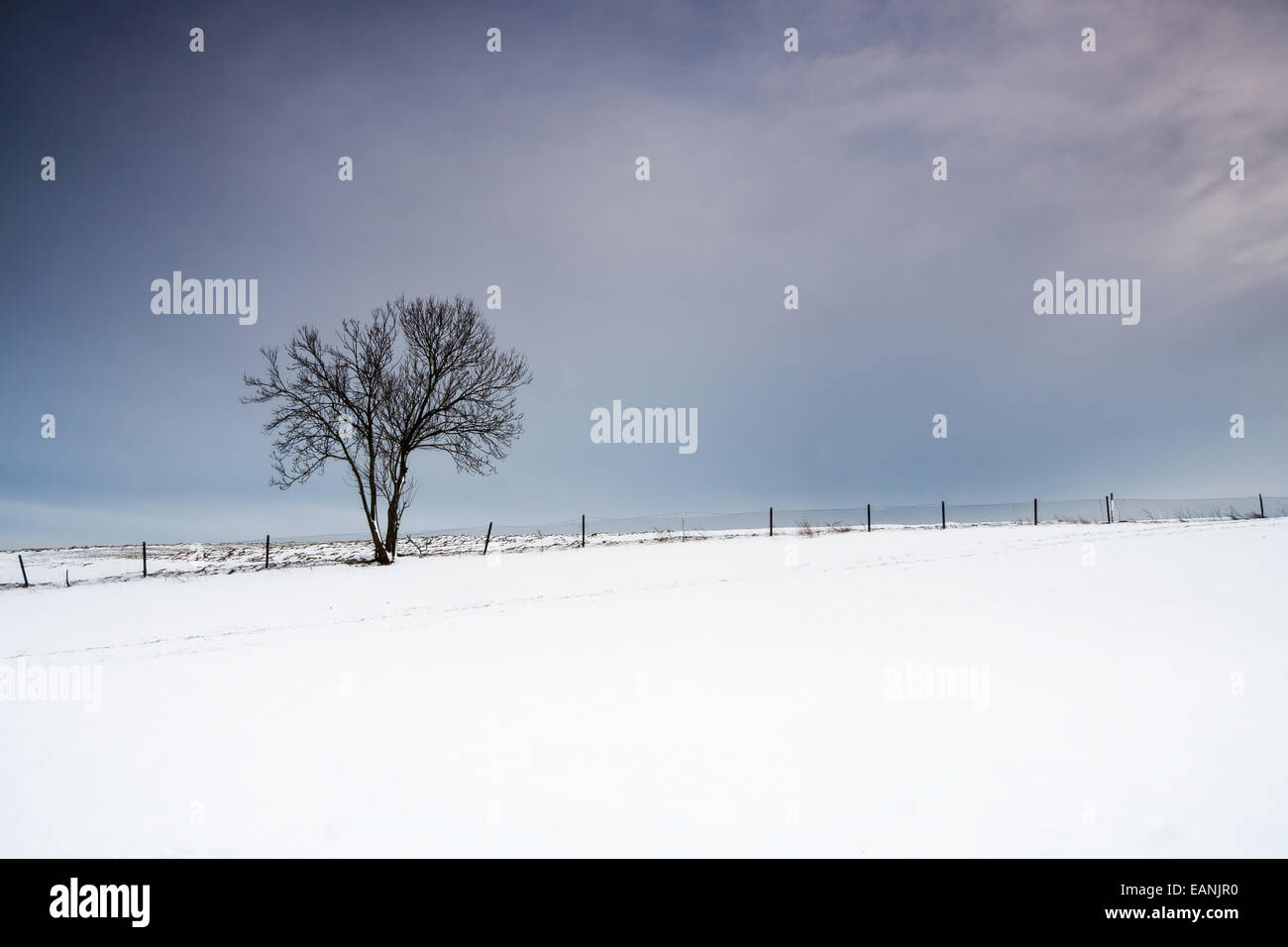 Winter field at sunset landscape Stock Photo - Alamy