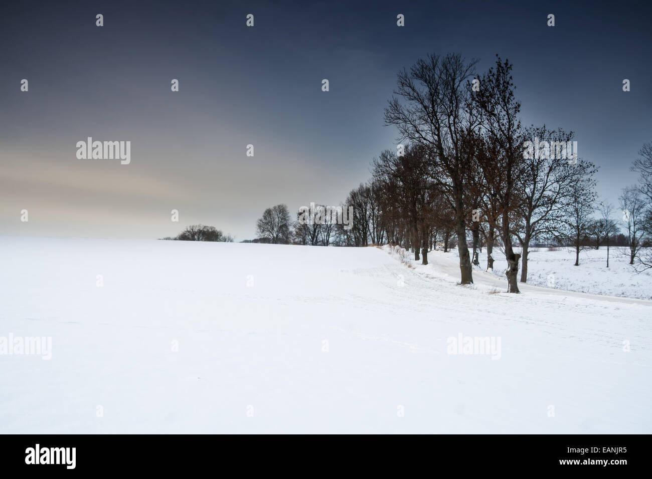 Winter field at sunset landscape Stock Photo - Alamy