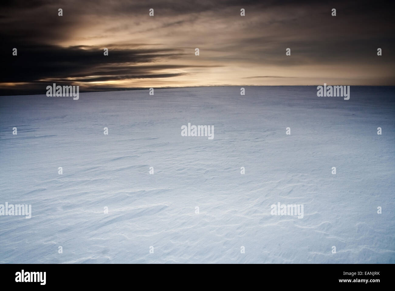 Winter field landscape Stock Photo - Alamy